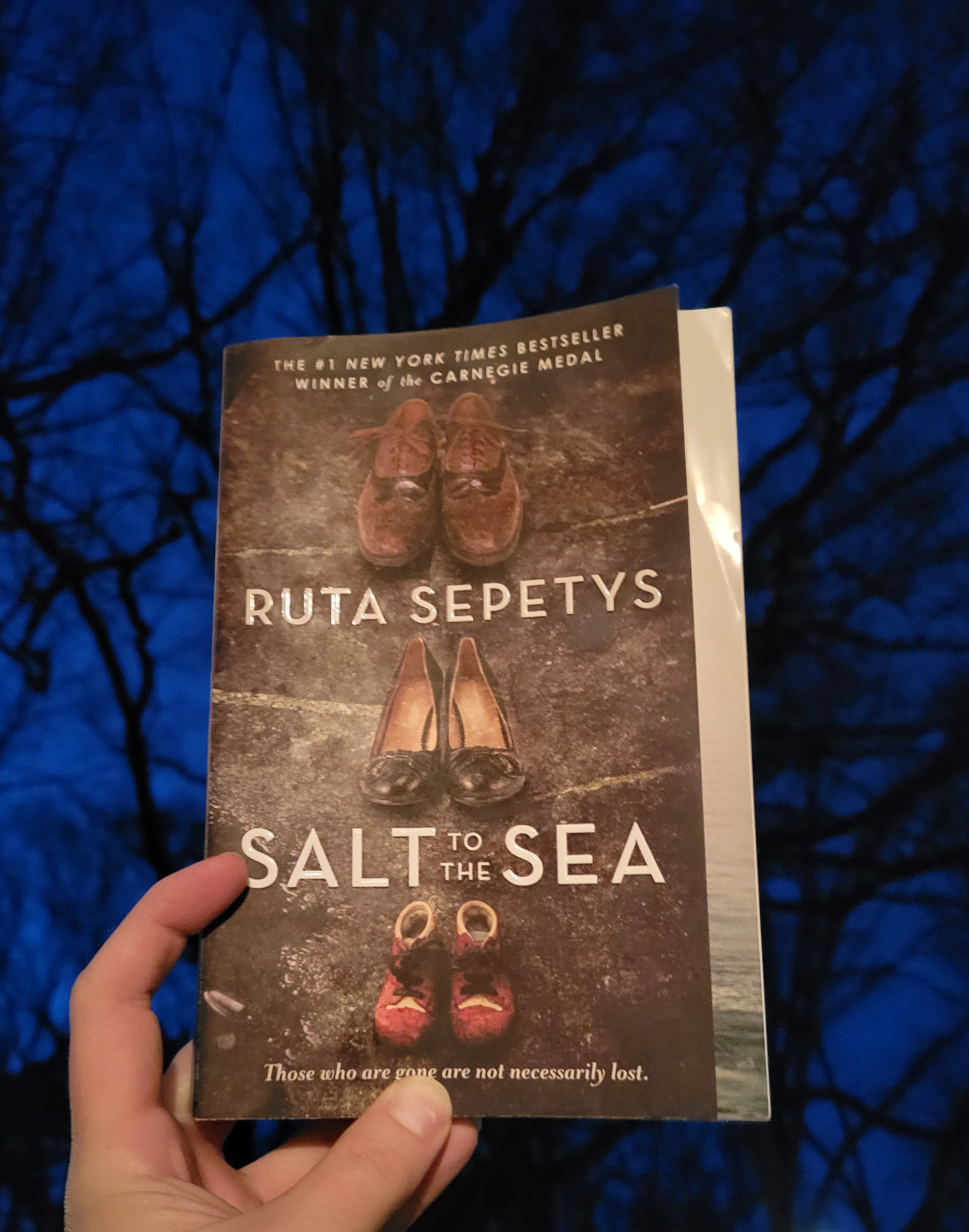 SALT TO THE SEA – Ruta Sepetys – A Girl Named Tommi