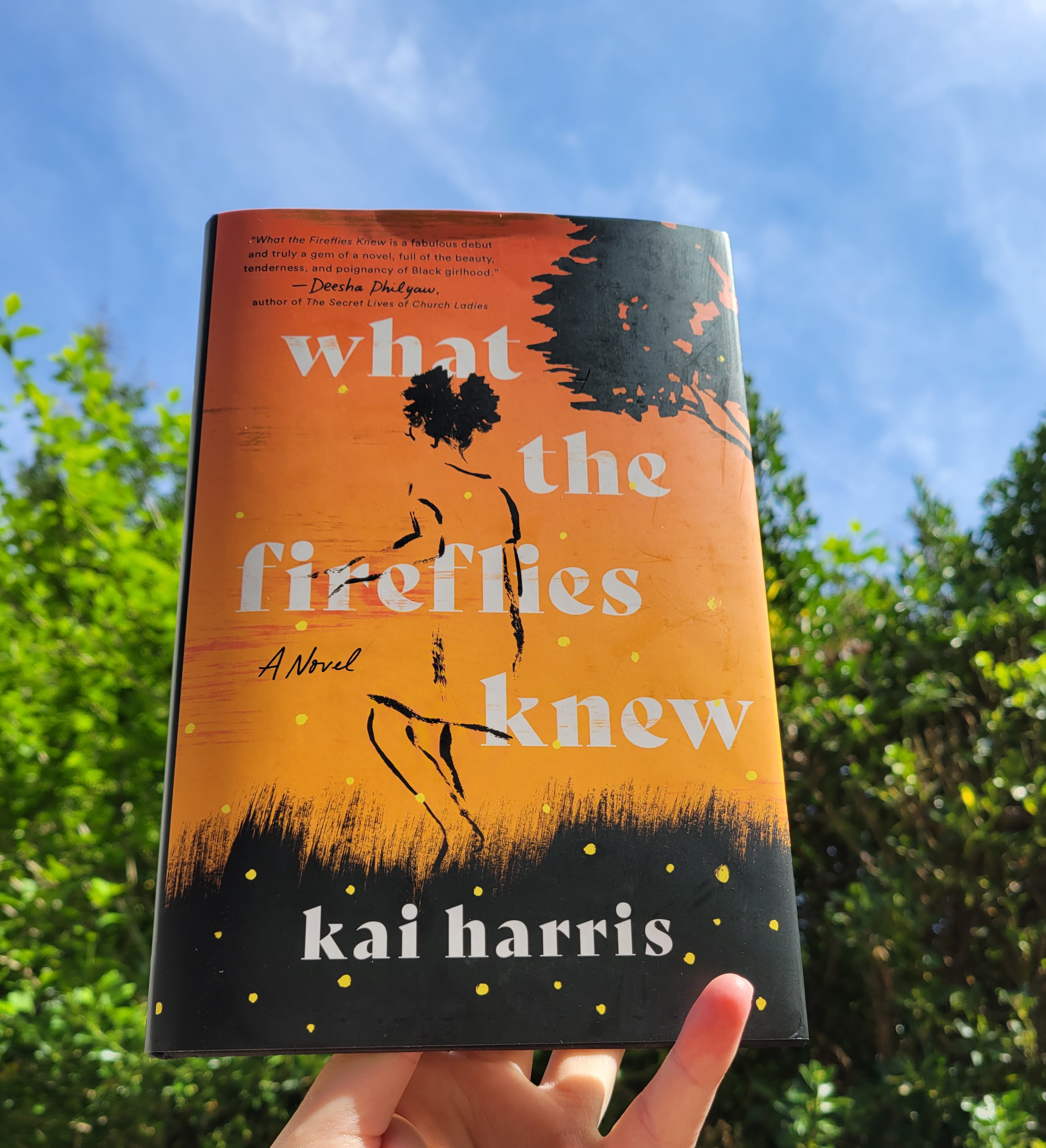 WHAT THE FIREFLIES KNEW – Kai Harris – A Girl Named Tommi