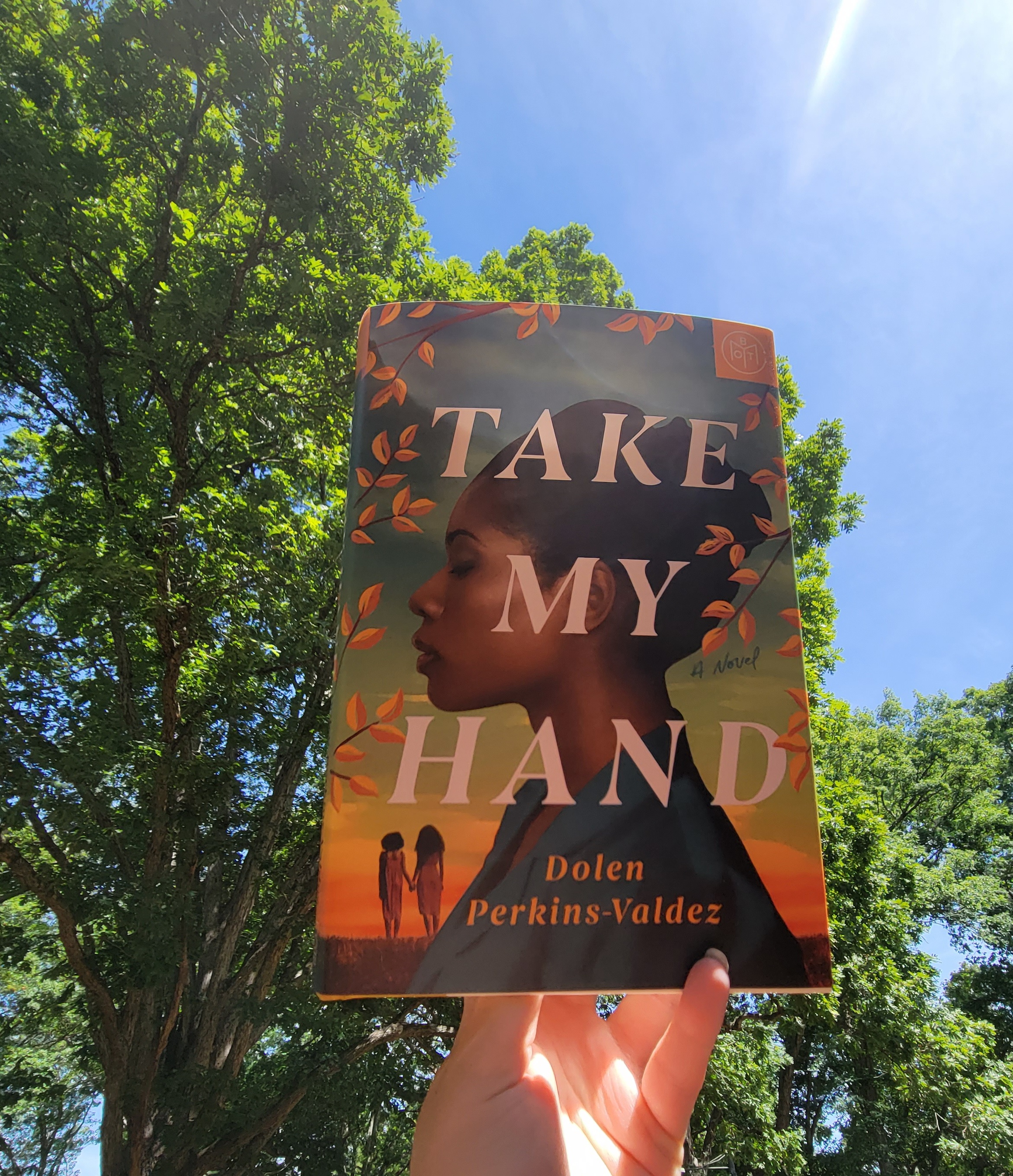 TAKE MY HAND – Dolen Perkins-Valdez – A Girl Named Tommi