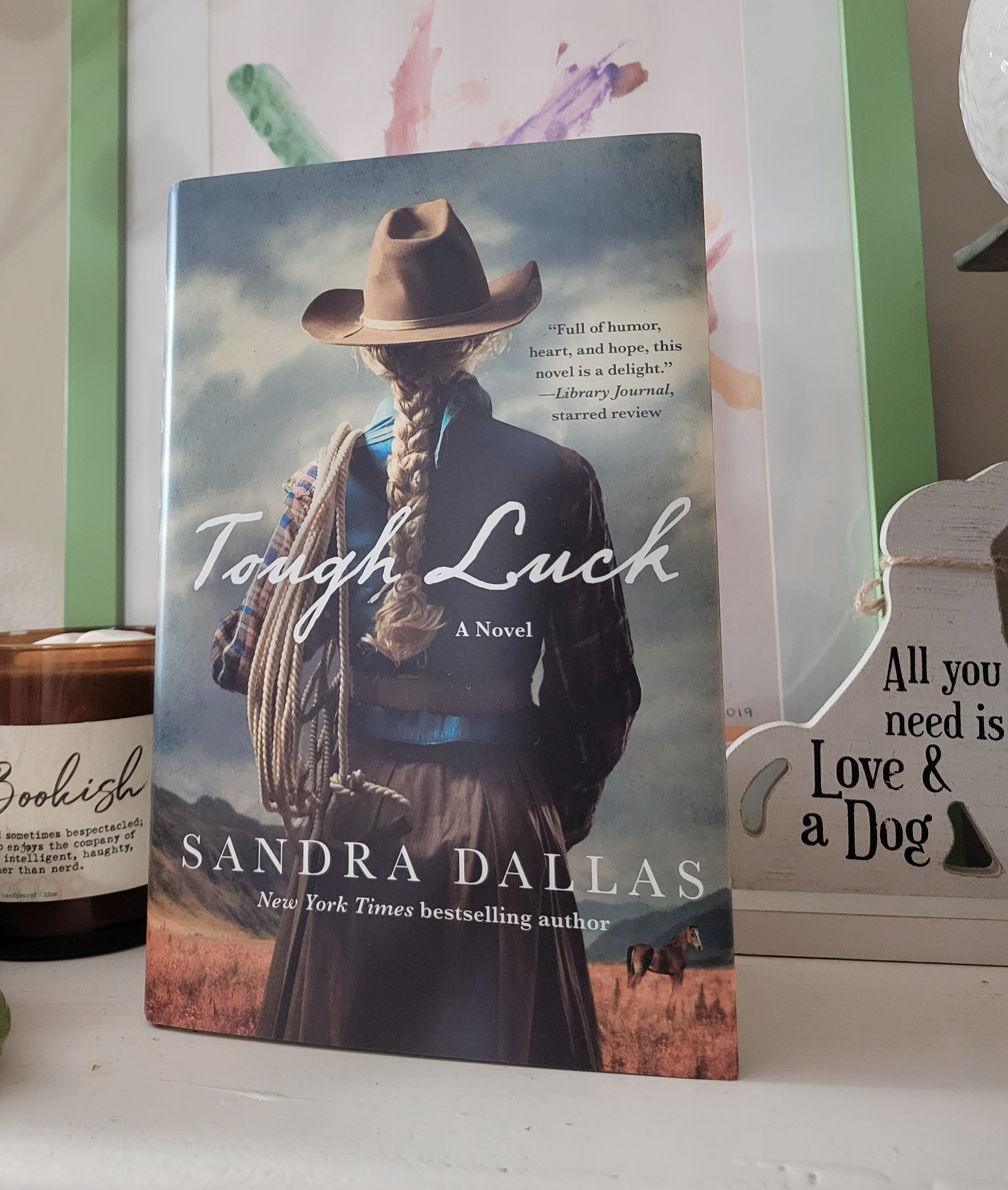 TOUGH LUCK – Sandra Dallas – A Girl Named Tommi